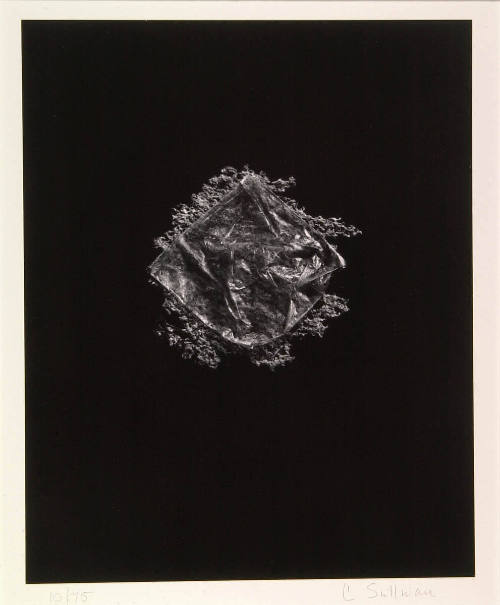 Connie Sullivan – Artists/Makers – eMuseum