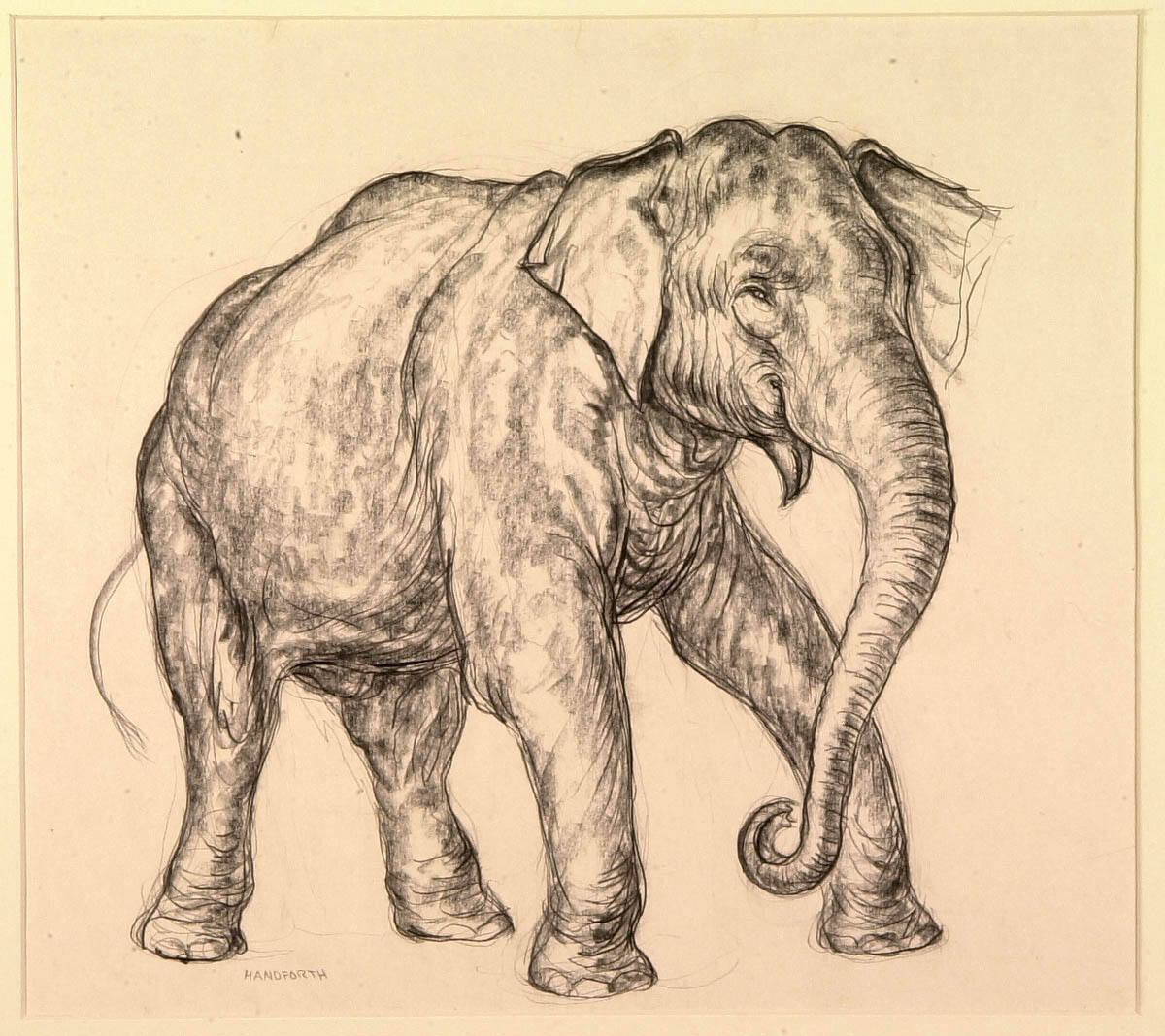 Elephant – Works – The Nelson-Atkins Museum of Art