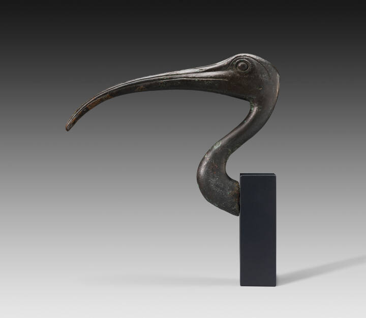 Ibis Head – Works – The Nelson-Atkins Museum of Art
