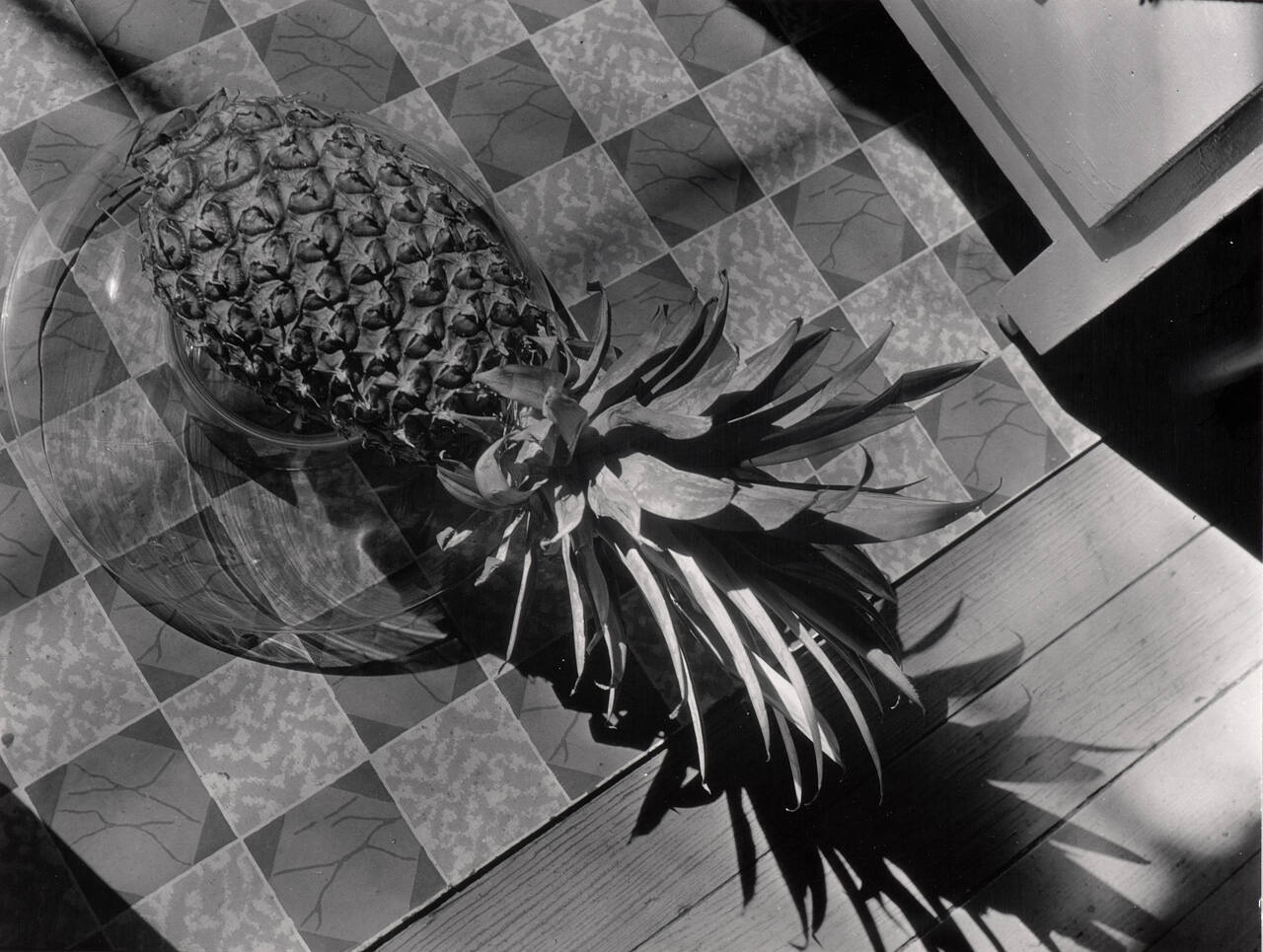 Pineapple as a Rocket – Works – The Nelson-Atkins Museum of Art