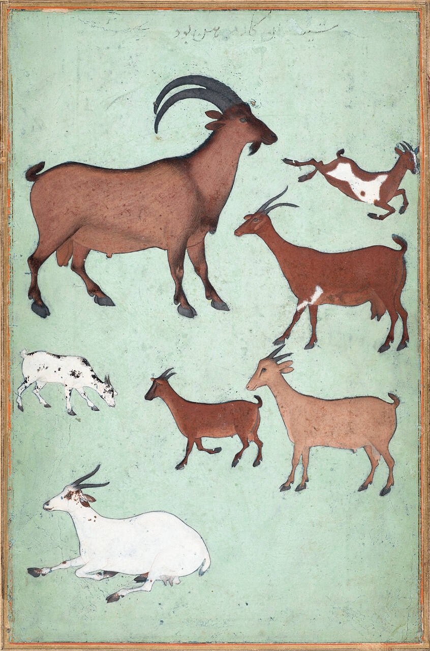 Seven Goats – Works – The Nelson-Atkins Museum of Art