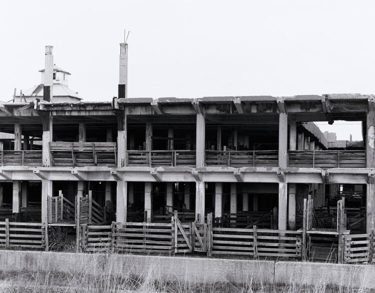 West Side of Kansas City Stockyards – Works – The Nelson-Atkins Museum ...