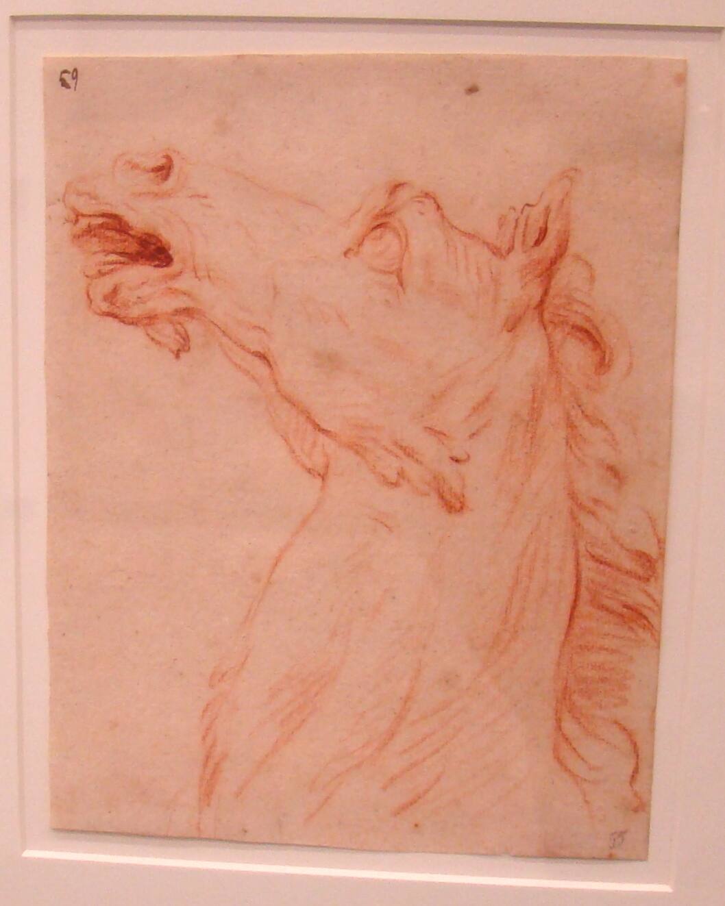 Study of the head of a hippocamp (Neptune) – Works – The Nelson-Atkins ...